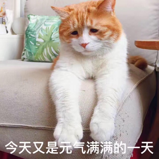 今天也要元气满满图片今天也要元气满满今天也是元气满满大山谷图库